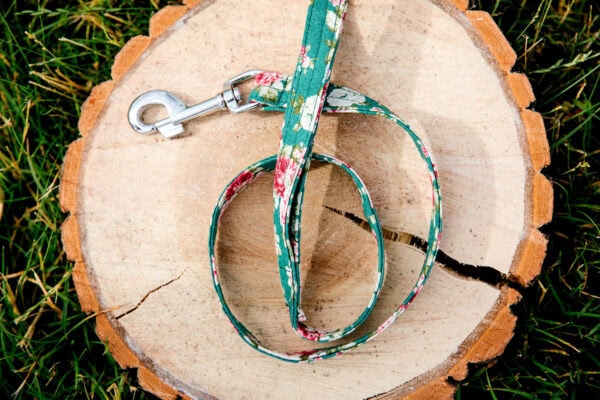 How to Wash Dog Harnesses & Leashes - Washing Instructions