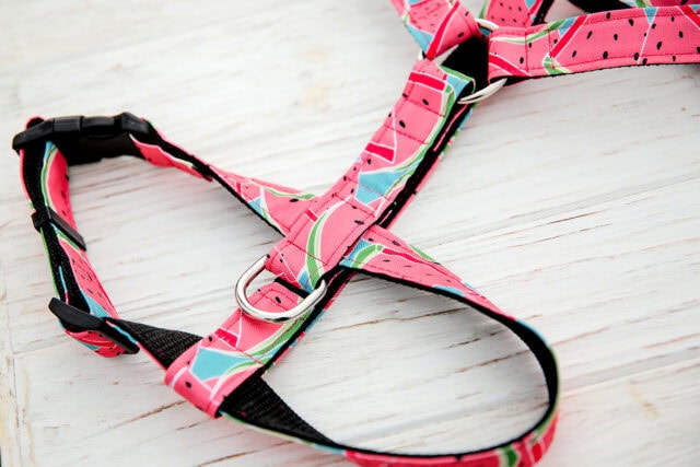 How to Wash Dog Harnesses & Leashes - Washing Instructions